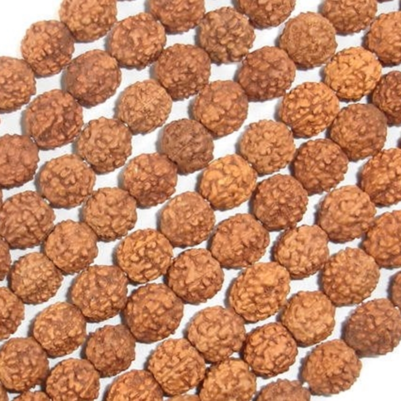 Rudraksha 8mm Round Beads - The Zen Shop